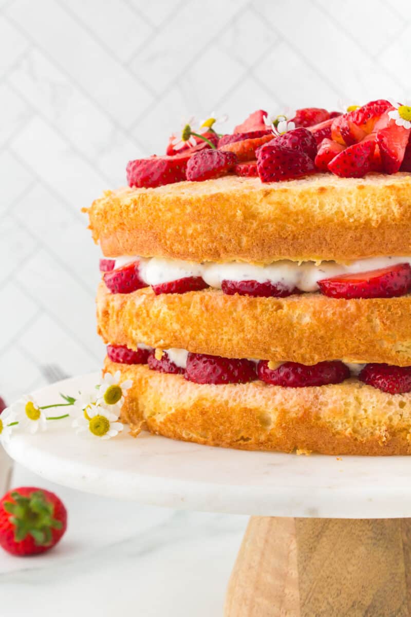 Ricotta Cheesecake - Feeling Foodish